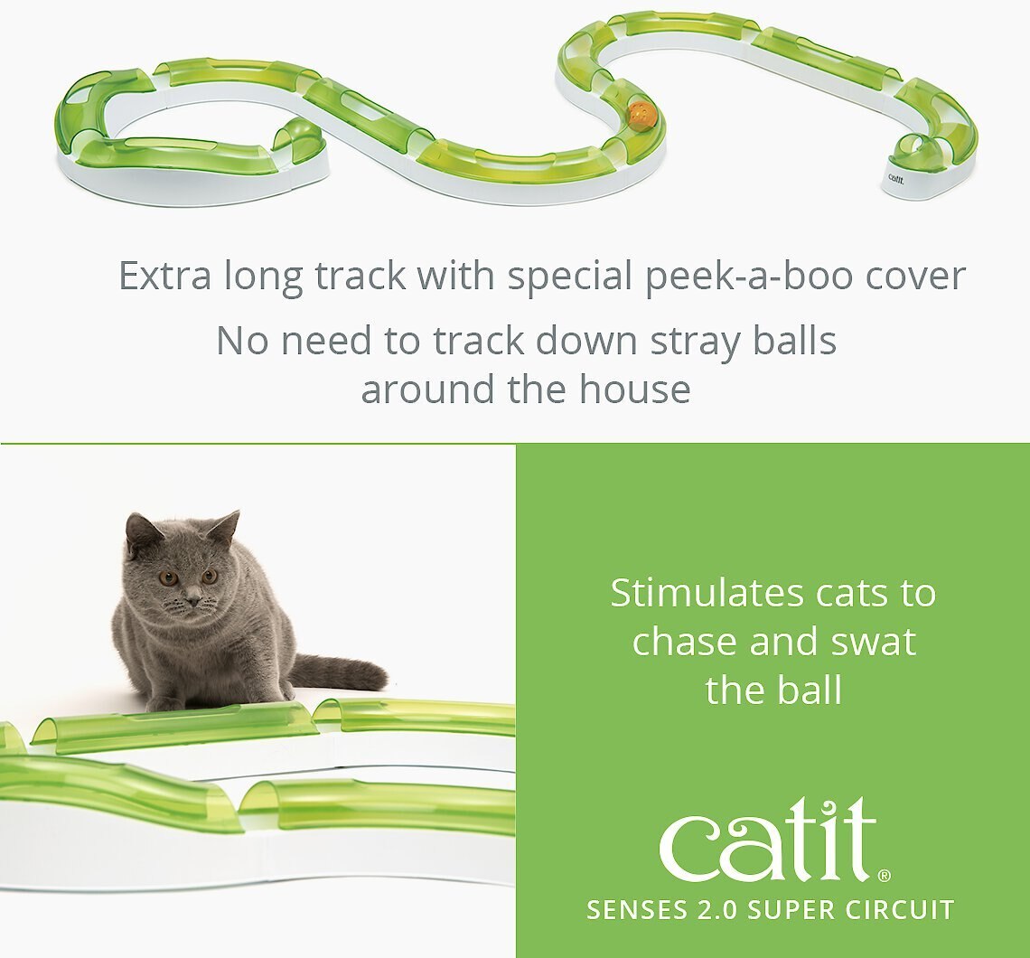 CATIT Senses 2.0 Super Circuit Cat Toy - Chewy.com