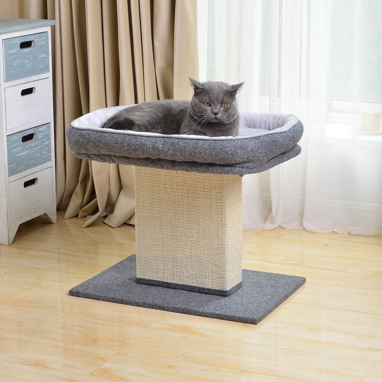 Cat Trees - Free shipping | Chewy