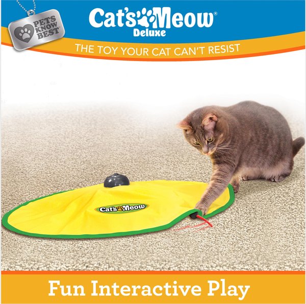 CAT'S MEOW Motorized Chaser Cat Toy, One Size - Chewy.com
