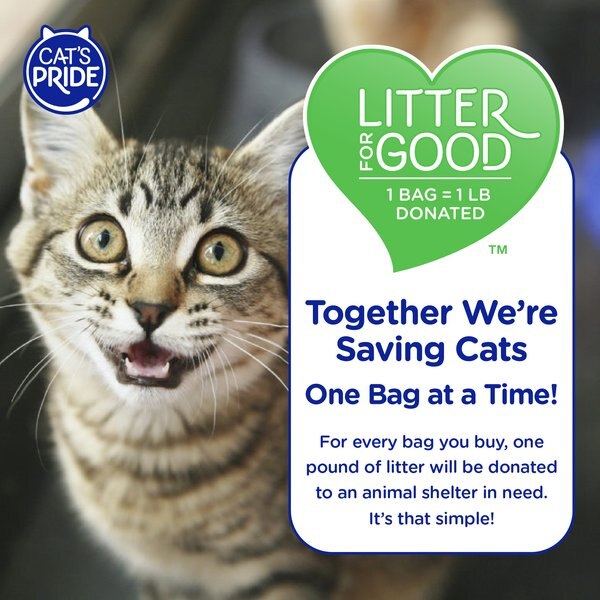 CAT'S PRIDE Max Power Total Odor Control Scented Clumping Cat Litter ...