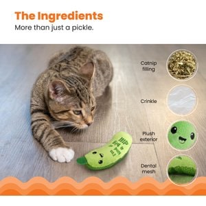 10 Best Cat Toys 2025: According to Reviews | Chewy