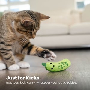 10 Best Cat Toys 2025: According to Reviews | Chewy