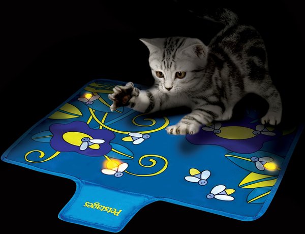 Out of Stock - CATSTAGES Flashing Firefly Mat Cat Toy - Chewy.com