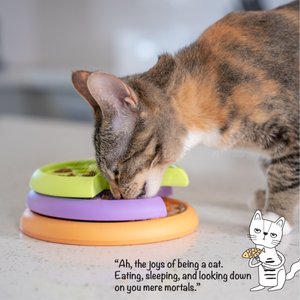 10 Best Cat Slow Feeders 2025: According to Reviews | Chewy