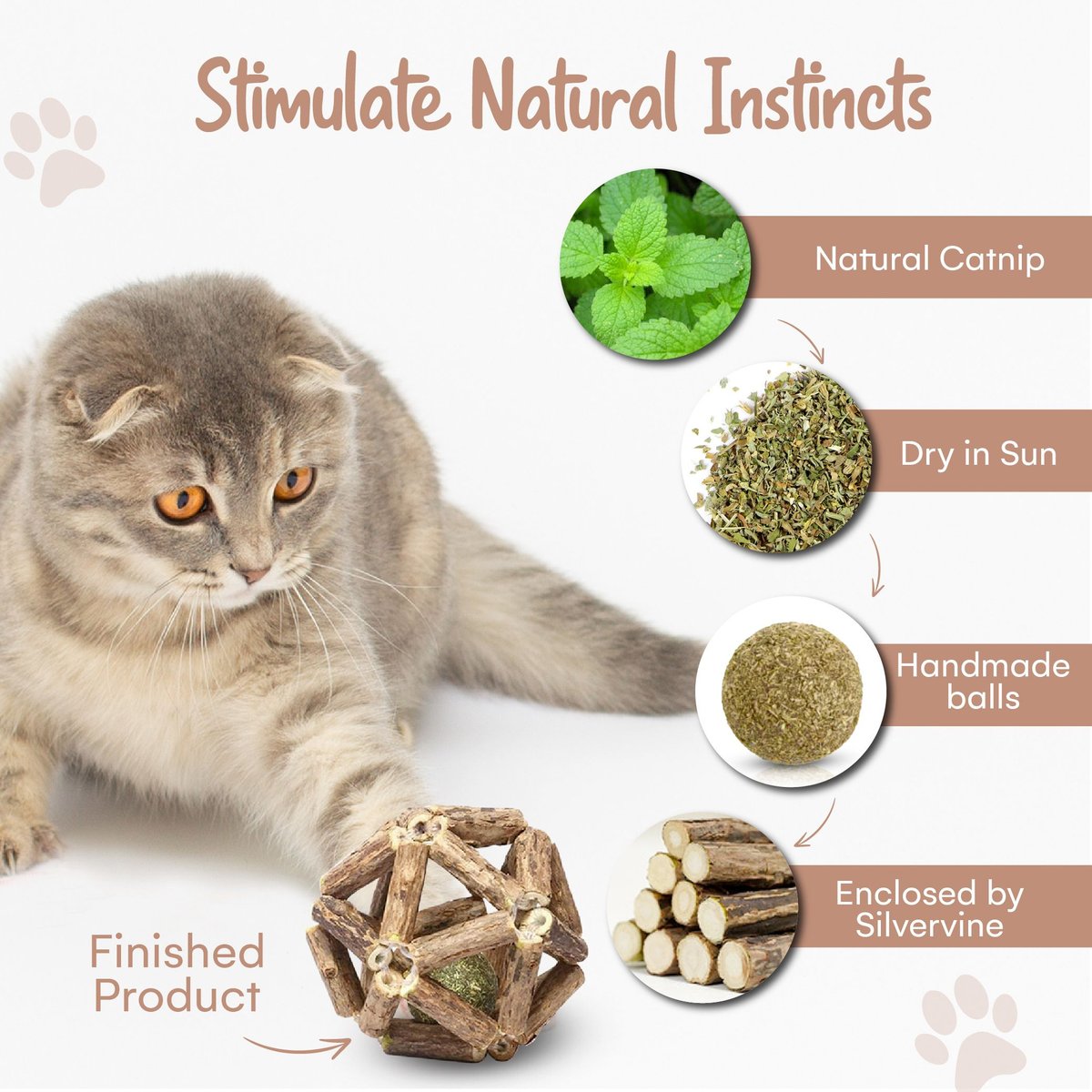 CATTWIG Silvervine Cage Balls Cat Toy with Catnip - Chewy.com