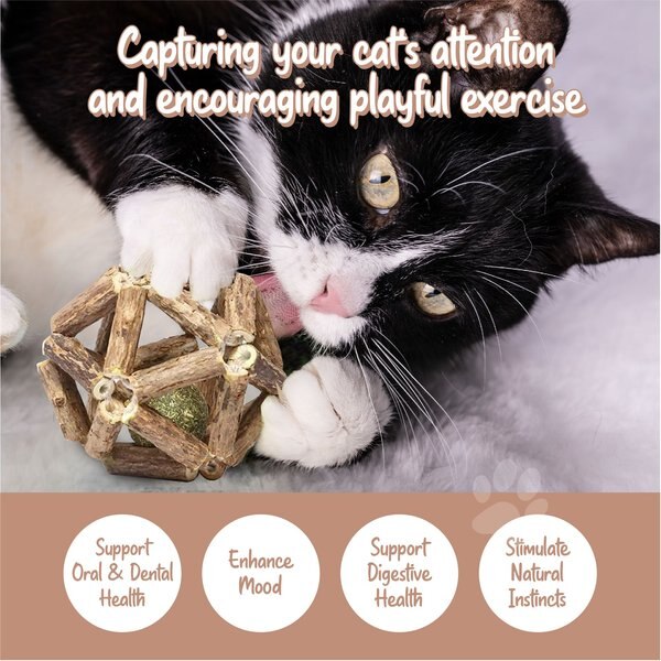 CATTWIG Silvervine Cage Balls Cat Toy with Catnip - Chewy.com