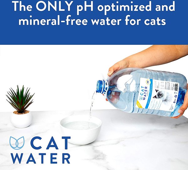 Out of Stock - CATWATER pH Balanced Urinary Support Cat Water, 16.9-oz ...