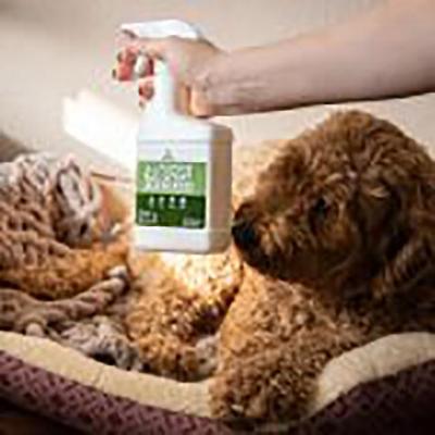 CEDARCIDE Cedarwood All-Purpose Dog & Cat Bug Spray, 16-fl oz bottle ...