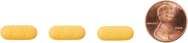 CEFPODERM (cefpodoxime proxetil) Tablets for Dogs, 200-mg - Easy ...