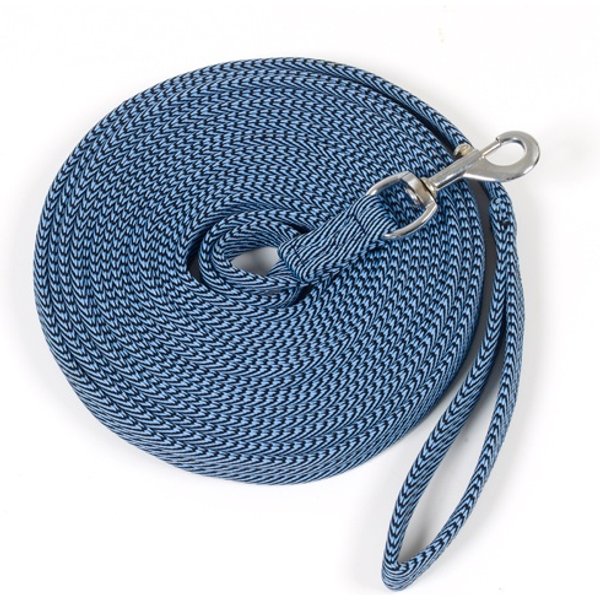 KINCADE Two Tone Horse Lunge Line & Circle Marker, 36-ft, Purple/Black ...