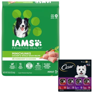 CESAR DRY DOG FOOD (Free Shipping) | Chewy