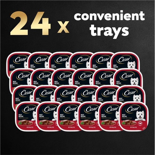 Temporarily Unavailable - CESAR Classic Loaf in Sauce Beef Recipe Grain ...