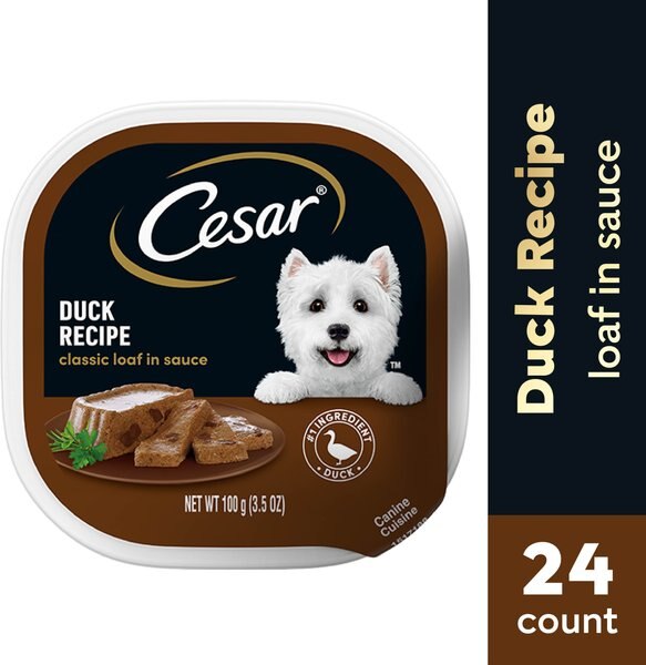 CESAR Classic Loaf in Sauce Duck Recipe Dog Food Trays, 3.5-oz, case of ...