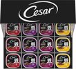 Cesar Dog Food (Free Shipping) | Chewy