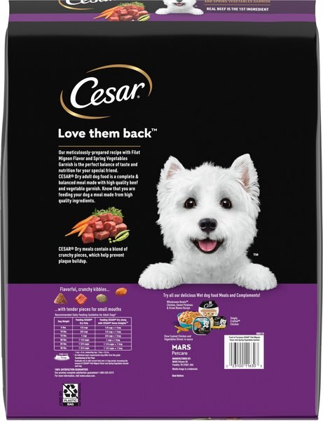 CESAR Filet Mignon Flavor & Spring Vegetables Garnish Small Breed Dry ...