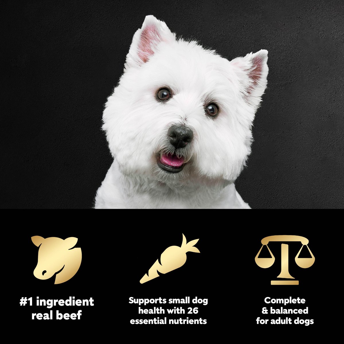 CESAR Filet Mignon Flavor & Spring Vegetables Garnish Small Breed Dry ...