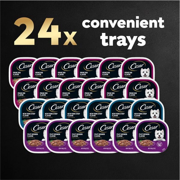 CESAR Filets in Gravy Beef Flavors Variety Pack Small Breed Adult Wet ...