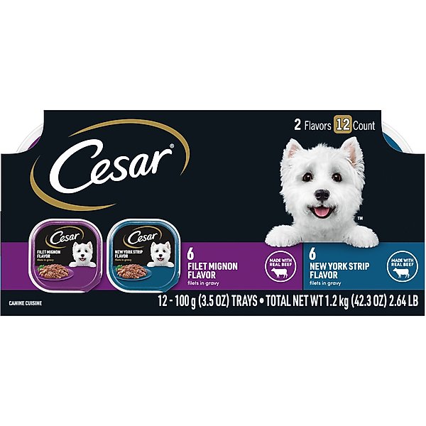 CESAR Filets in Gravy Beef Variety Pack Small Breed Adult Wet Dog Food ...