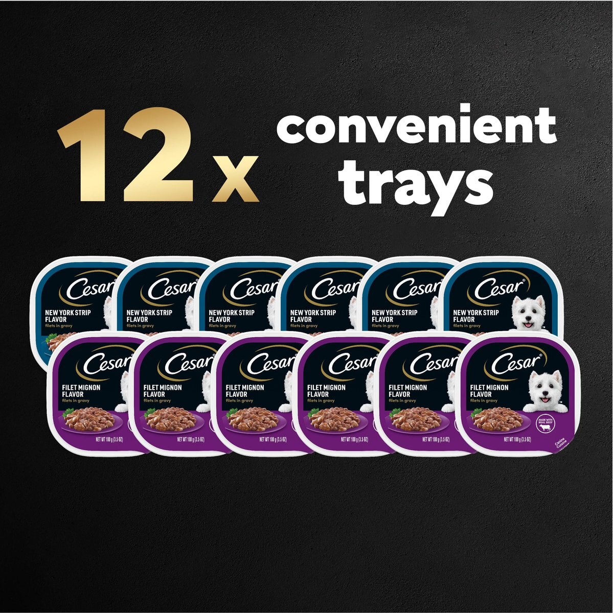 CESAR Filets in Gravy Beef Variety Pack Small Breed Adult Wet Dog Food ...