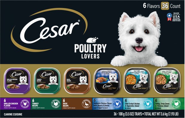 CESAR DOG FOOD (Free Shipping) | Chewy