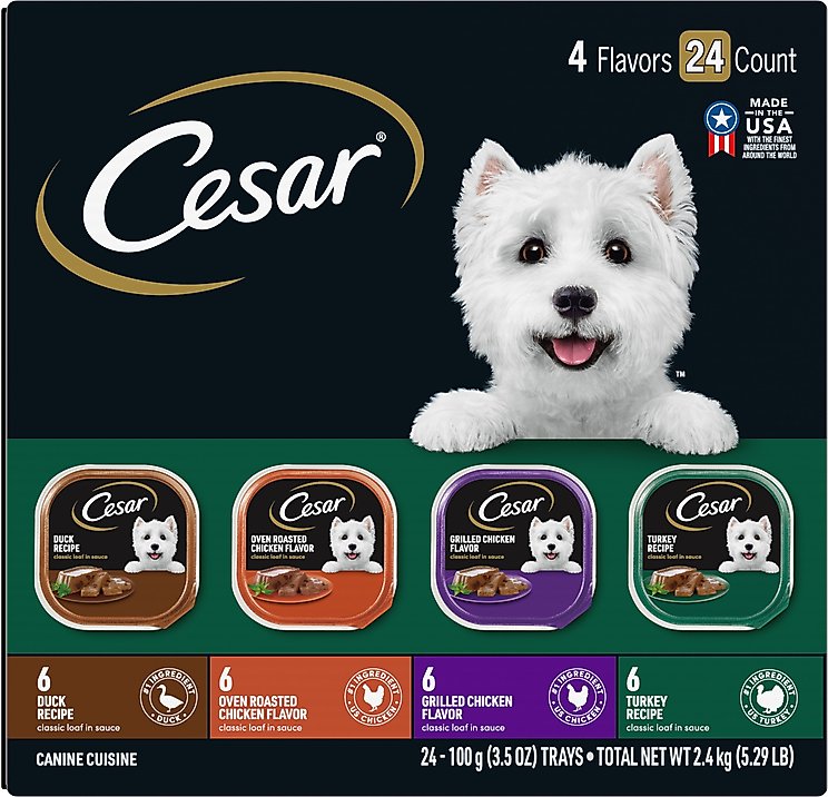 CESAR DOG FOOD (Free Shipping) | Chewy