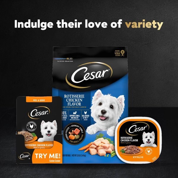 CESAR Rotisserie Chicken Flavor Filets in Gravy Wet Dog Food, 1.76-oz ...