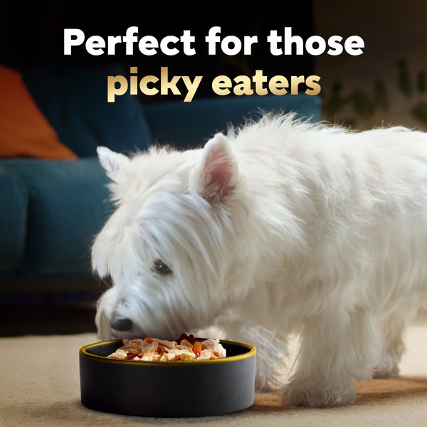 CESAR Simply Crafted Multipack Adult Chicken & Beef Recipes Shredded ...