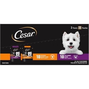 CESAR WET DOG FOOD (Free Shipping) | Chewy