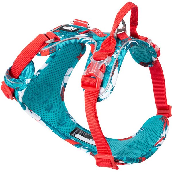 PETSAFE Deluxe Easy Walk Nylon Reflective No Pull Dog Harness, Ocean ...