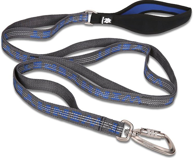Traffic Handle Leashes - Free shipping | Chewy
