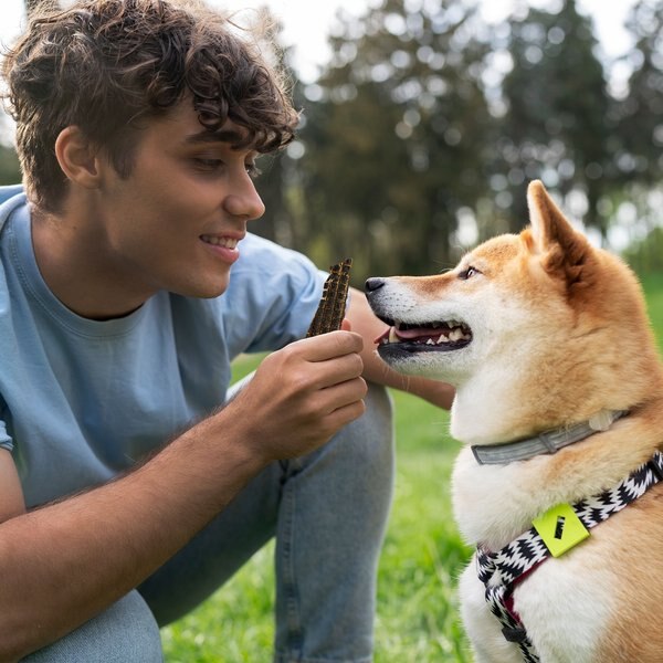 CHASING OUR TAILS Integra Pet Land Lovers Jerky Grain-Free Dog Treats ...