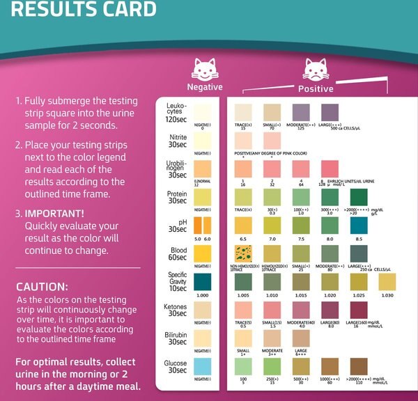 CHECKUP Pro Hydrophobic Sand Urine Collection Home Test Kit for Cats ...