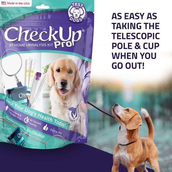 CHECKUP Pro Telescopic Pole Urine Collection Home Test Kit for Dogs ...