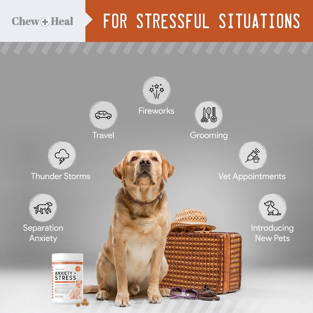 CHEW + HEAL Anxiety & Stress Dog Supplement, 1-pack, 60 count - Chewy.com