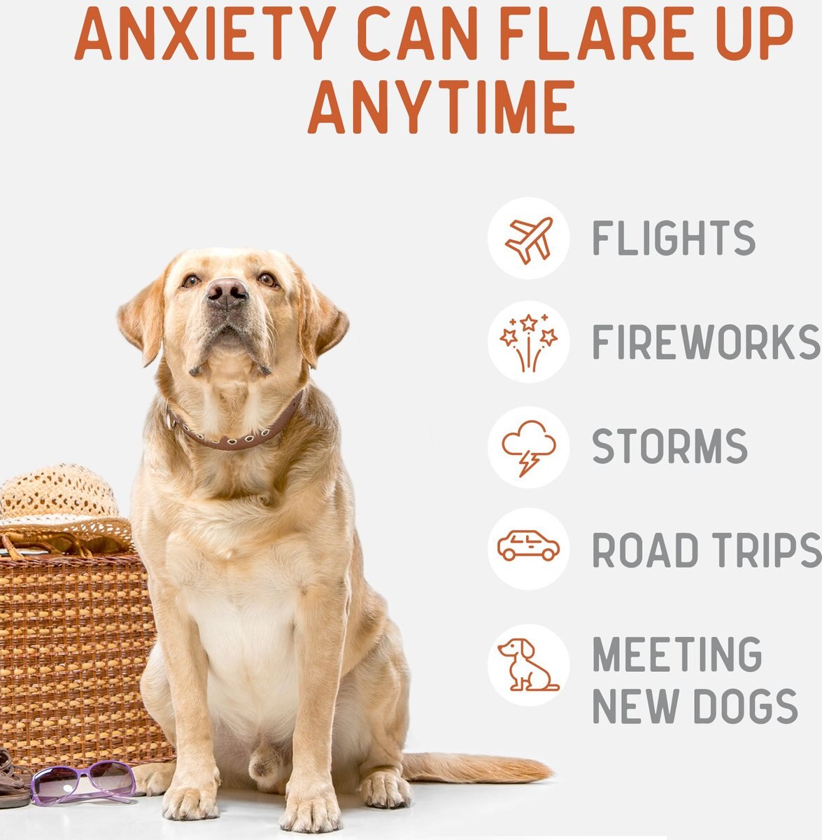 CHEW + HEAL Anxiety & Stress Dog Supplement, 2 pack, 60 count - Chewy.com