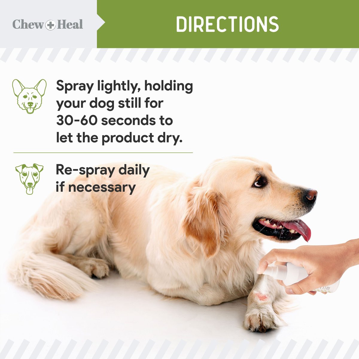 CHEW + HEAL Liquid Bandage for Dogs, 4-fl oz bottle - Chewy.com