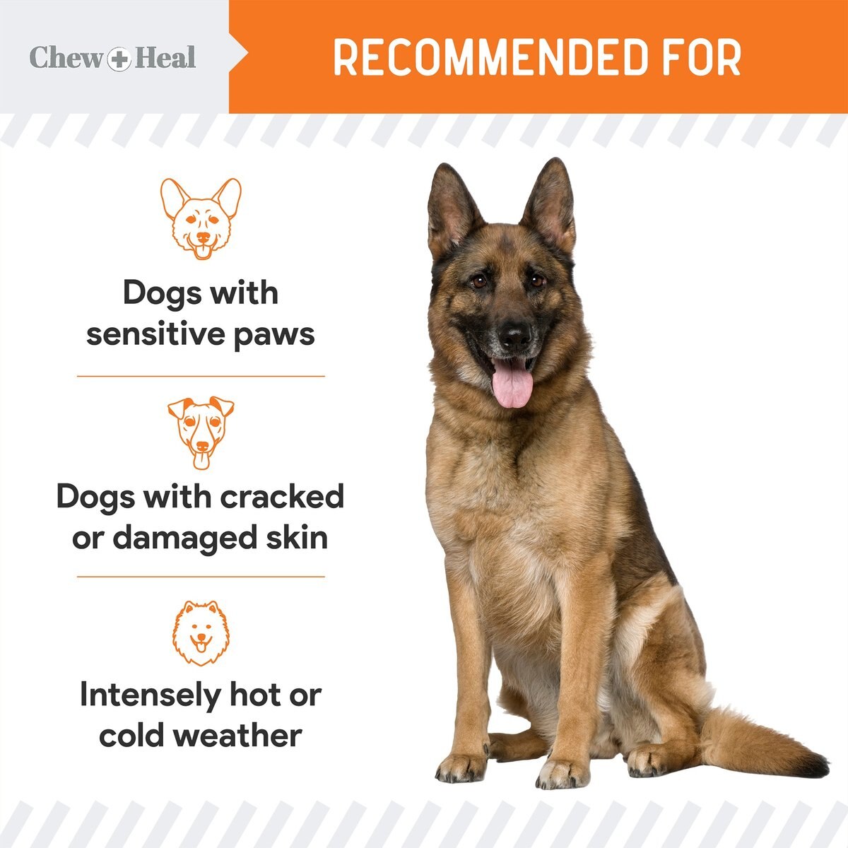 CHEW + HEAL Paw Support Revitalizing Dog Paw Balm, 2-oz - Chewy.com