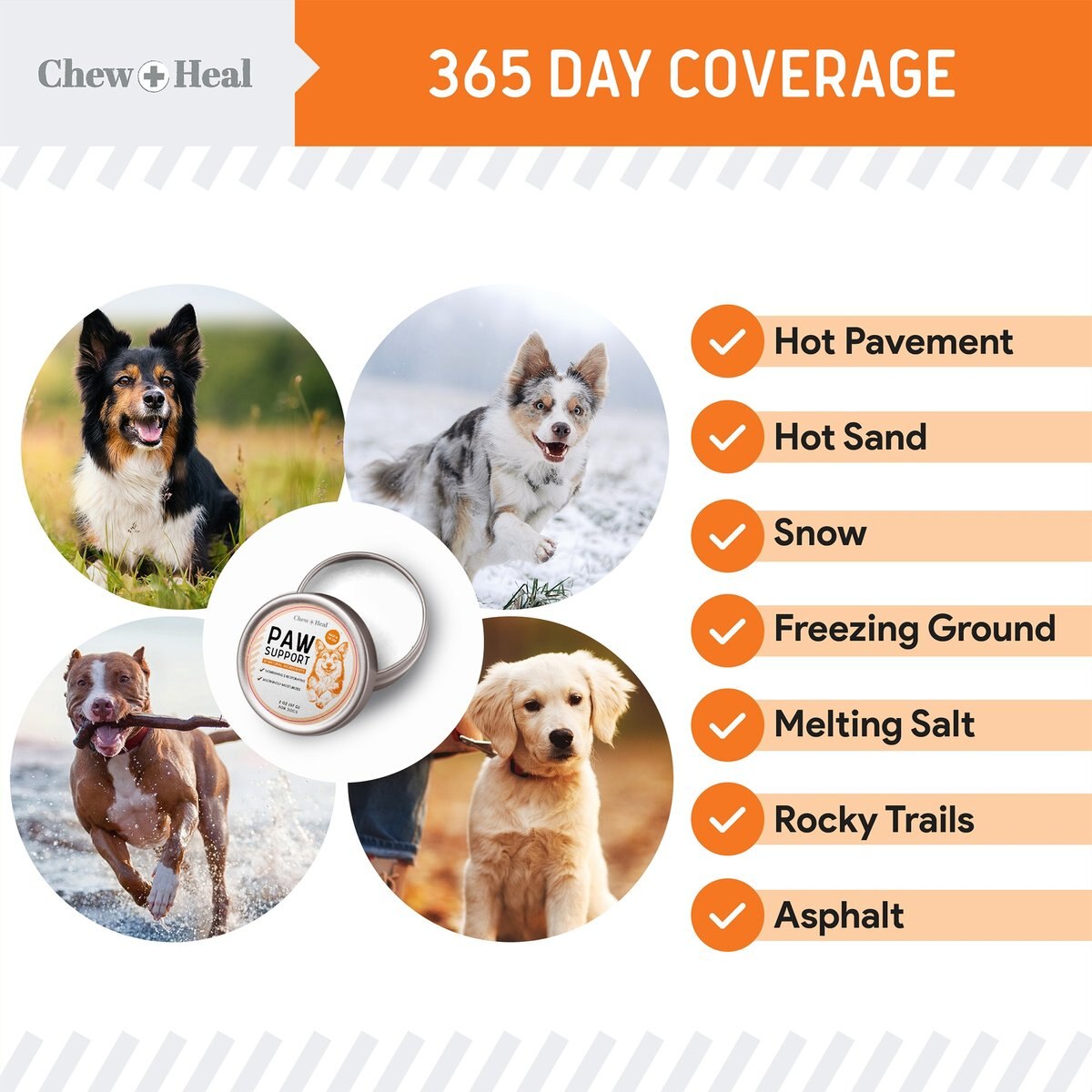 CHEW + HEAL Paw Support Revitalizing Dog Paw Balm, 2-oz - Chewy.com