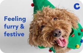 CHEWY eGift Cards, Special Delivery Dog, $200 - Chewy.com