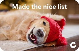 CHEWY eGift Card, Thank You Cat, $50 - Chewy.com