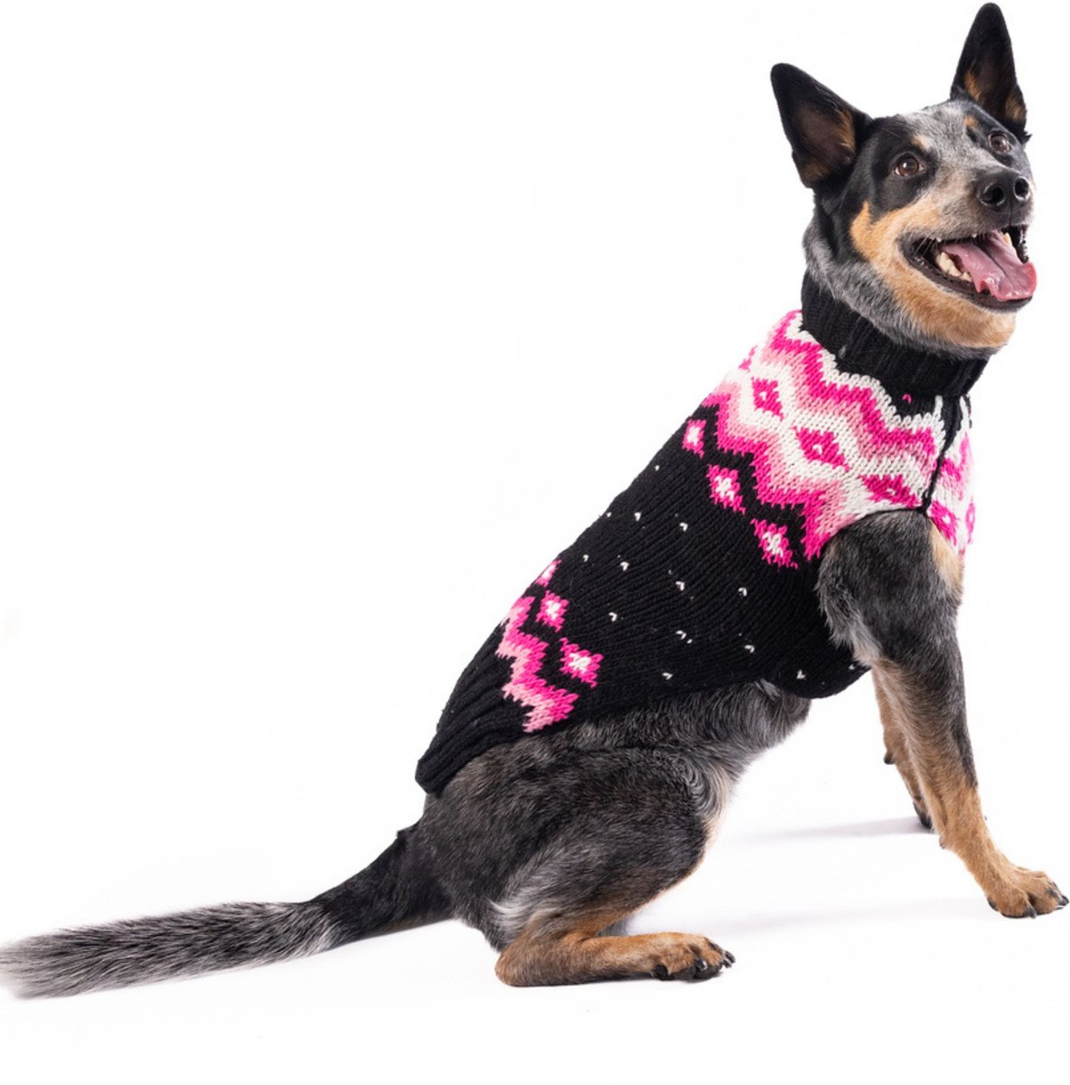CHILLY DOG Artic Pink Dog & Cat Sweater, XX-Large - Chewy.com