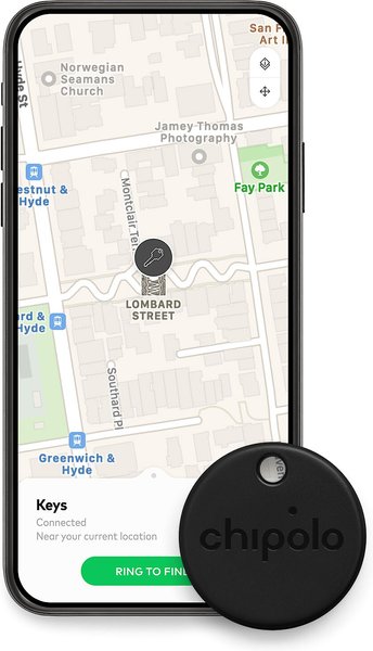 CHIPOLO ONE Bluetooth Dog, Cat & Horse Tag, Black - Chewy.com