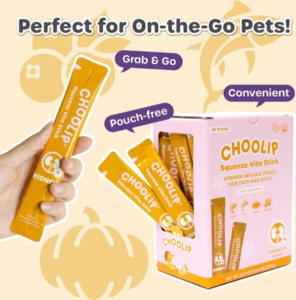 CHOOLIP Squeeze Vita Stick Grab n Go Kidney Support Lickable Dog & Cat ...
