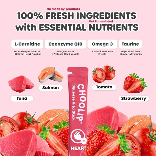 CHOOLIP Squeeze Vita Stick Heart Support Lickable Dog & Cat Treats, 3.7 ...