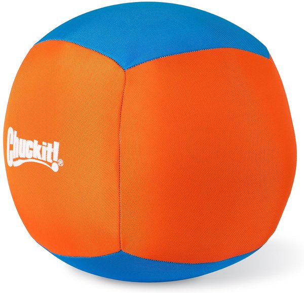 CHUCKIT! Big Air Fetch & Herding Ball Dog Toy, Large - Chewy.com