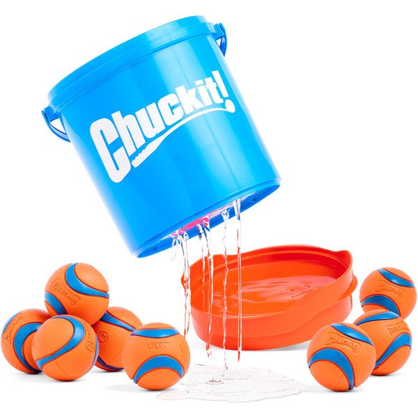 CHUCKIT! Bucket Fetch Dog Toy - Chewy.com