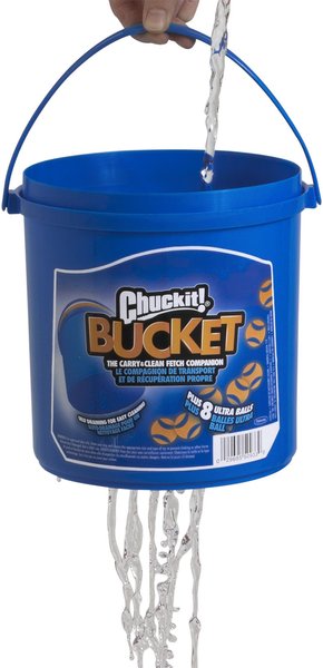 CHUCKIT! Bucket Fetch Dog Toy - Chewy.com