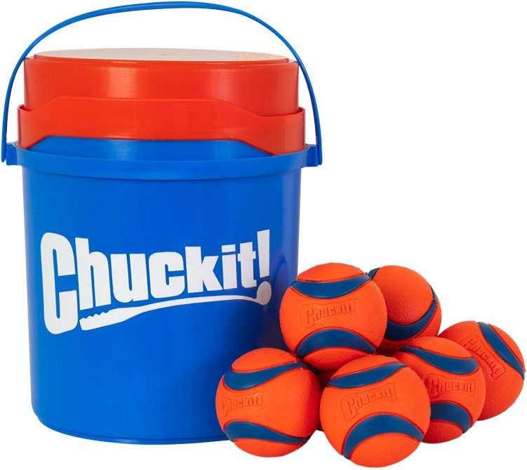 CHUCKIT! Bucket Fetch Dog Toy - Chewy.com