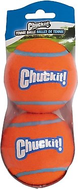 Chuckit! Balls & Sticks - Free shipping | Chewy