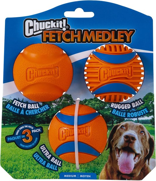 Chuckit! Balls & Sticks - Free shipping | Chewy